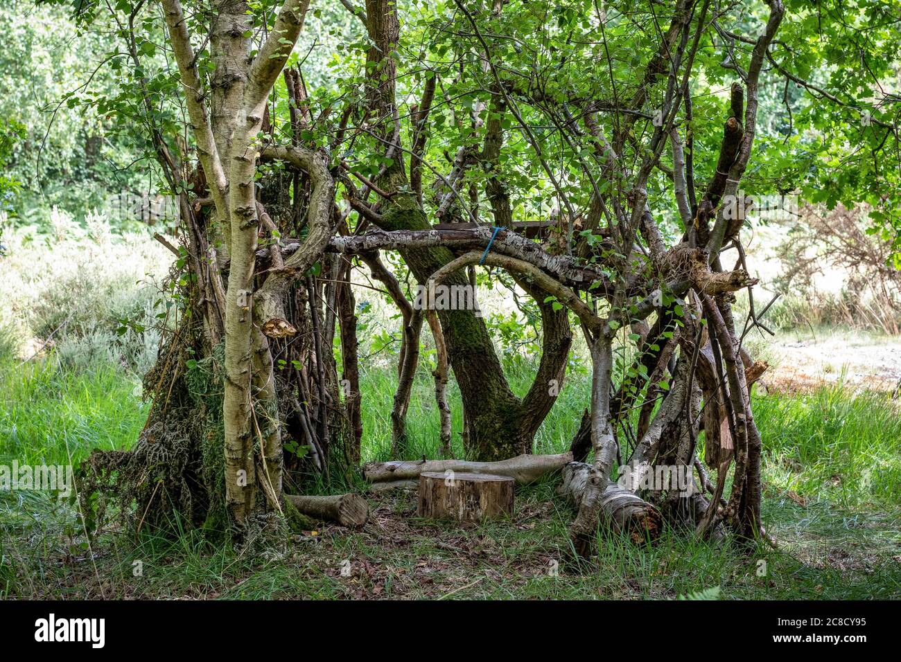 Den made of branches hi-res stock photography and images - Alamy