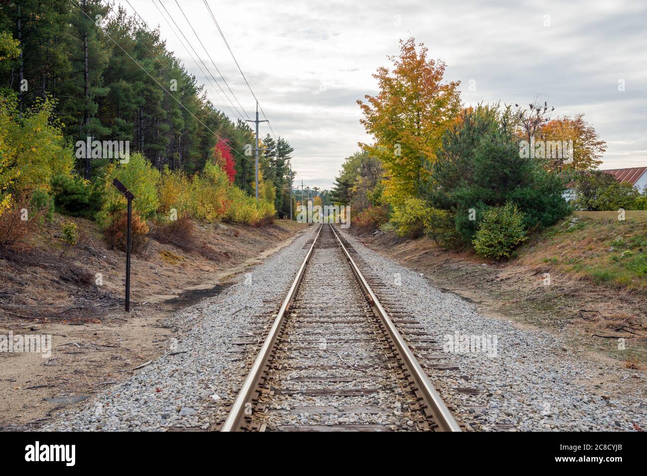 Tree lined railway hi-res stock photography and images - Alamy