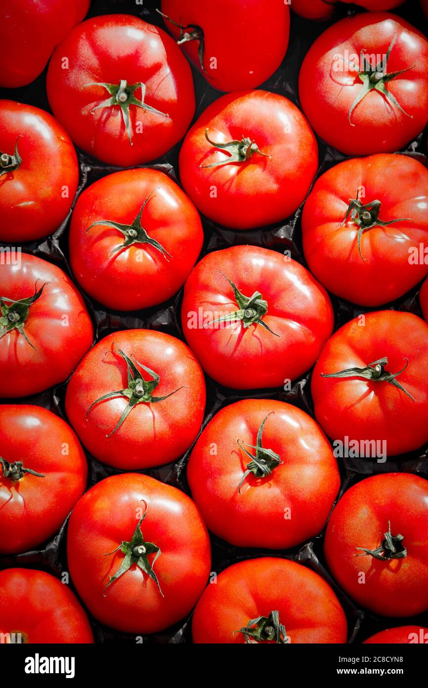 Fresh, red tomatoes side by side, full frame Stock Photo - Alamy