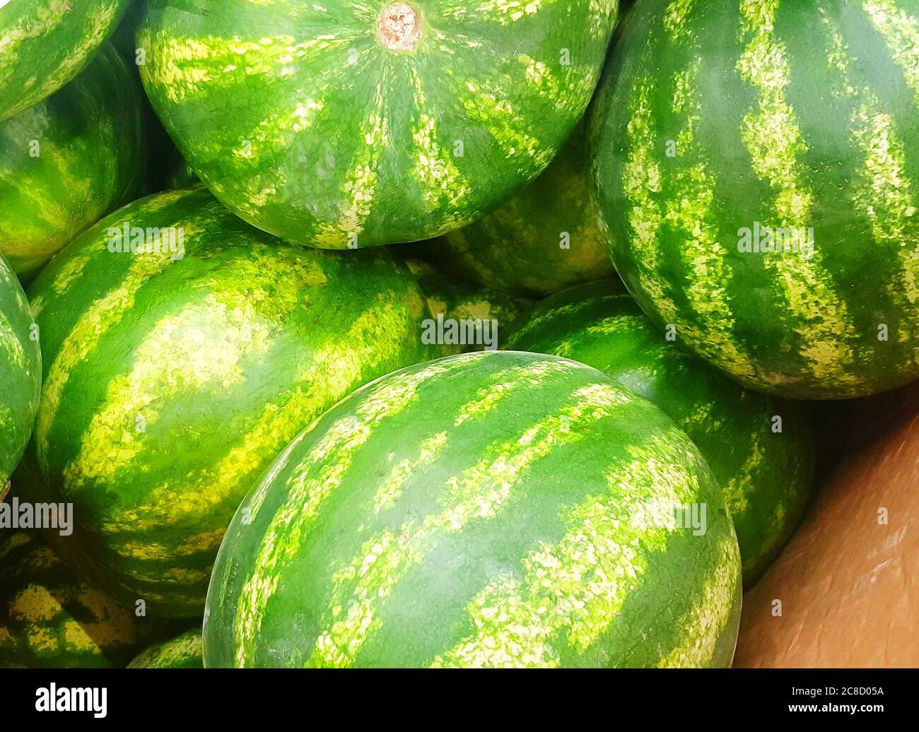 Fresh organic melon movement camera hi-res stock photography and images ...