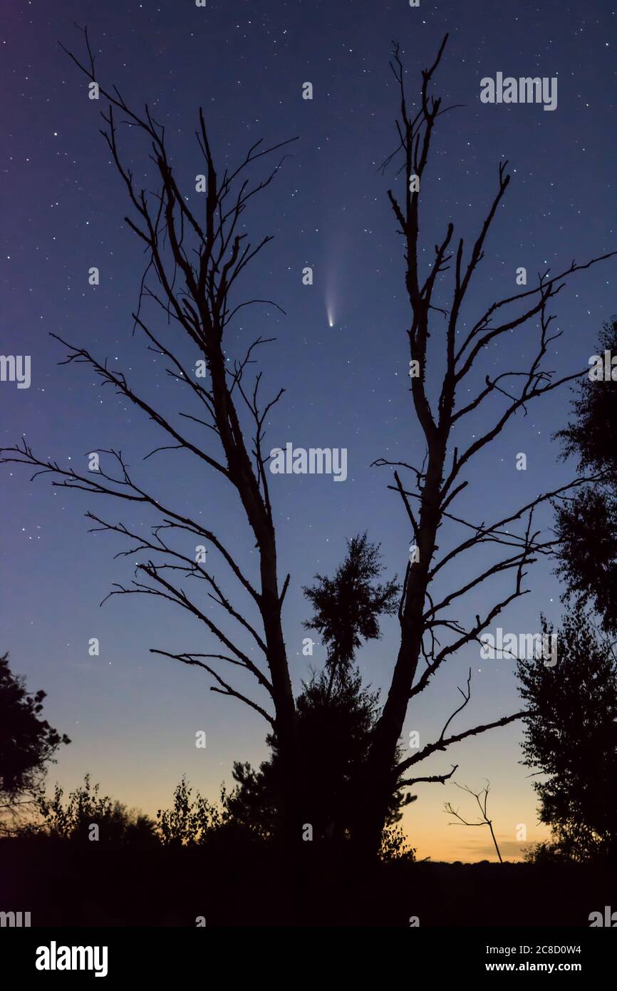 Comet 2020 Neowise seen from Stedham and Iping Common, Sussex, UK, July ...