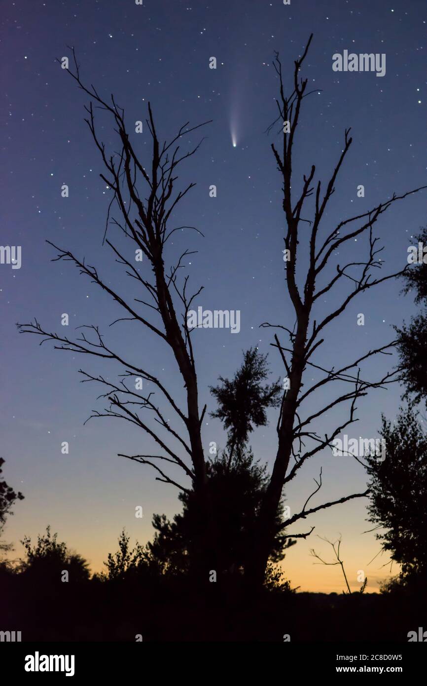 Comet 2020 Neowise seen from Stedham and Iping Common, Sussex, UK, July ...
