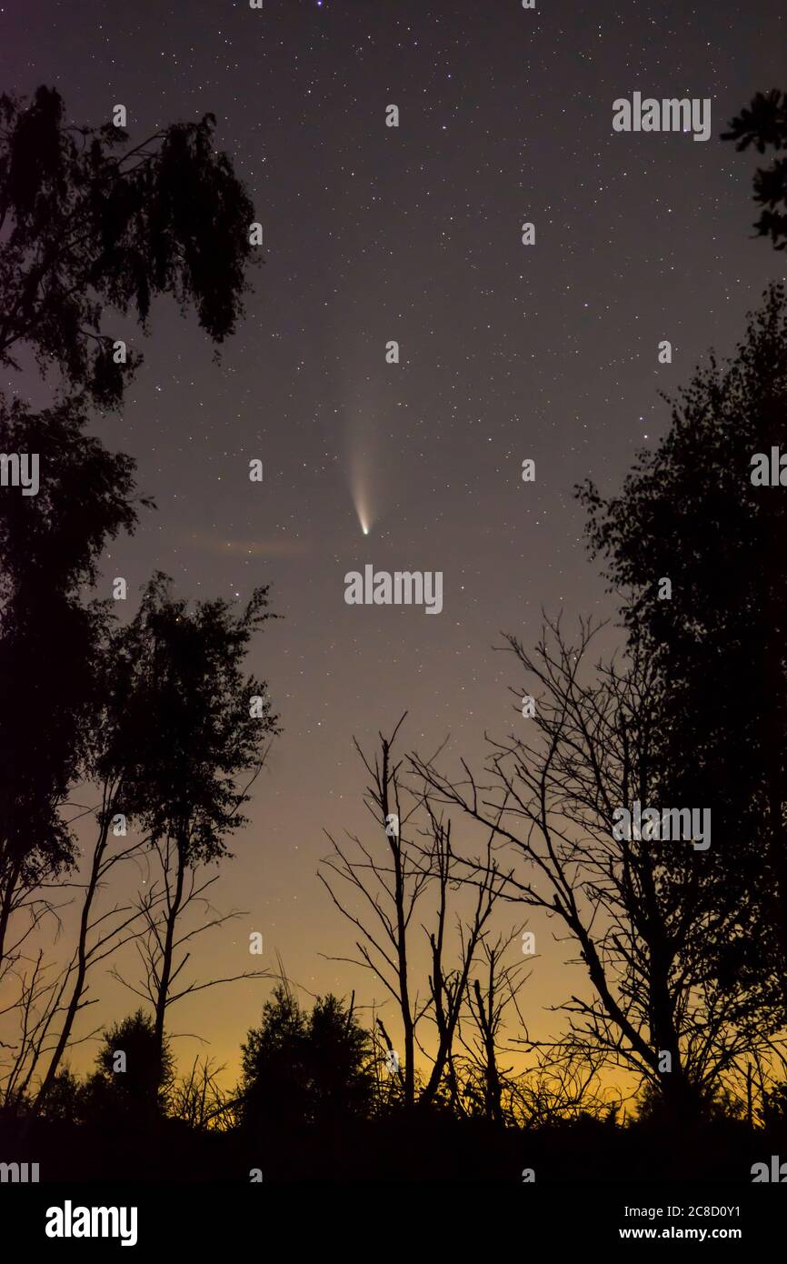Comet 2020 Neowise seen from Stedham and Iping Common, Sussex, UK, July ...