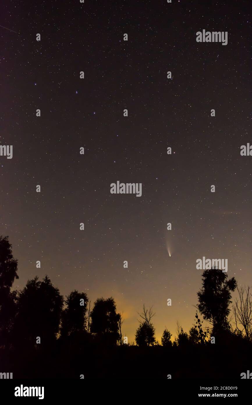 Comet 2020 Neowise seen from Stedham and Iping Common, Sussex, UK, July ...
