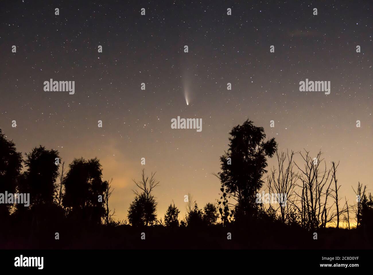 Comet 2020 Neowise seen from Stedham and Iping Common, Sussex, UK, July ...