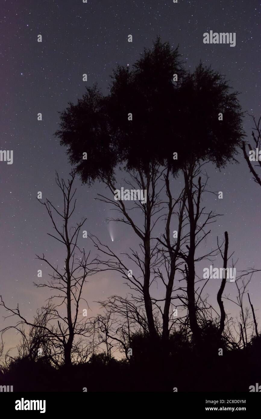 Iping and stedham hi-res stock photography and images - Alamy