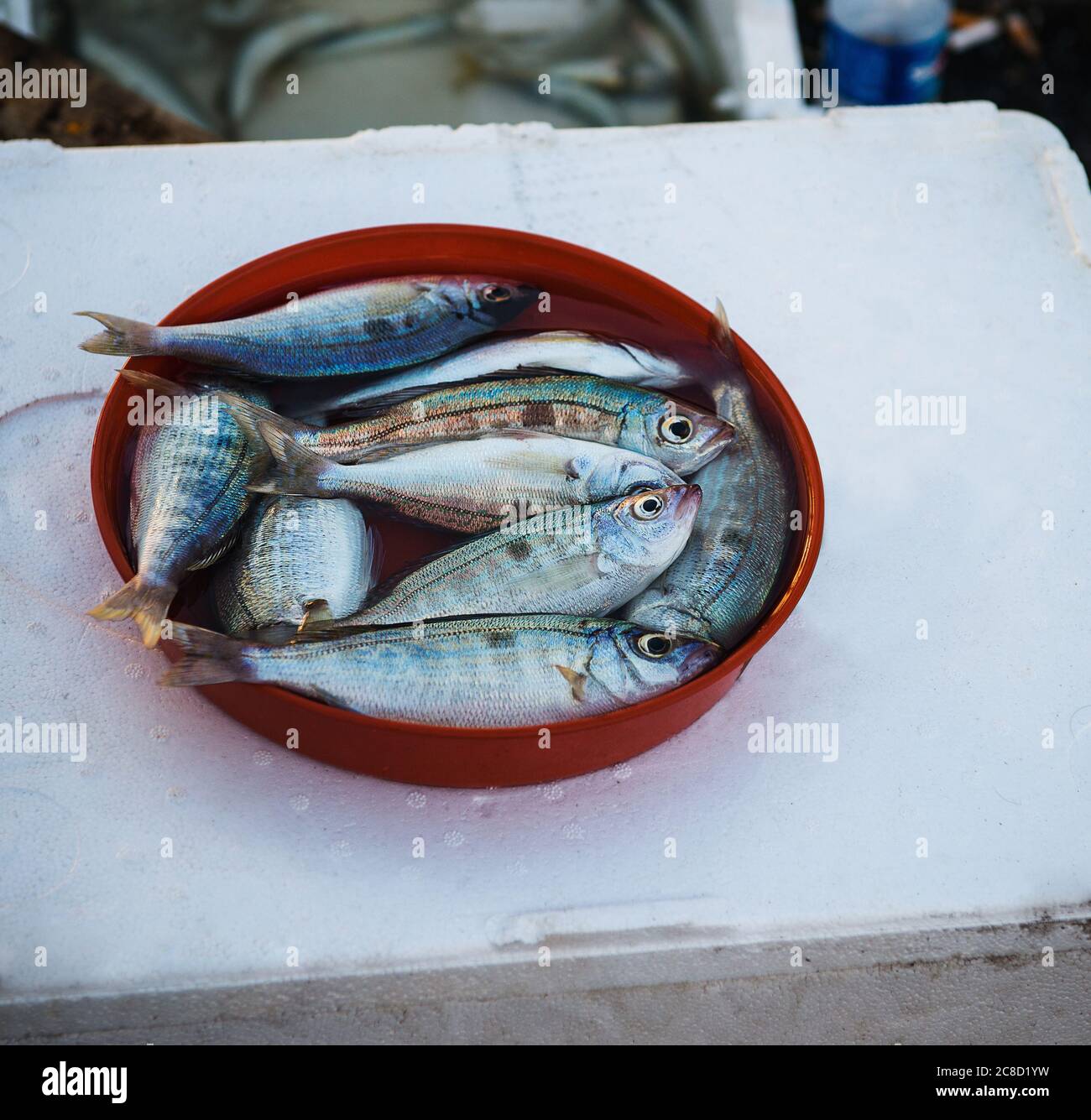 On istanbul fish market hi-res stock photography and images - Alamy