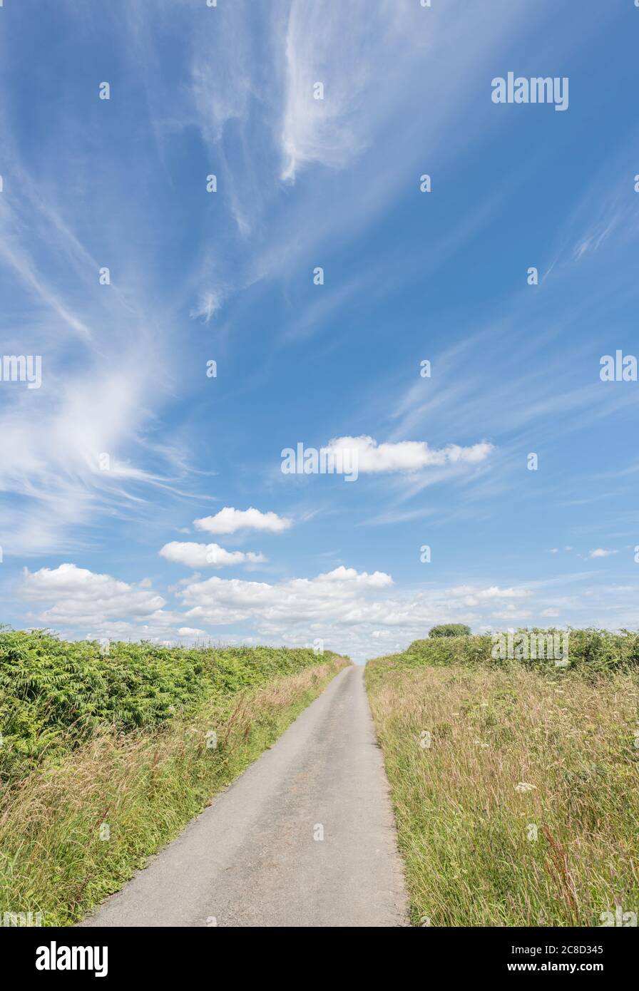 Rural country lane in Cornwall with typical banked hedgerows in summer ...