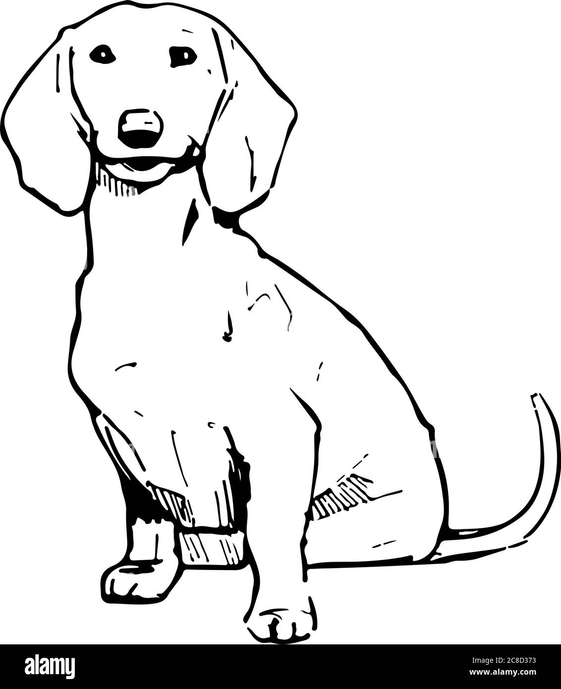 cute dachs hound sitting vector sketch Stock Vector Image & Art - Alamy