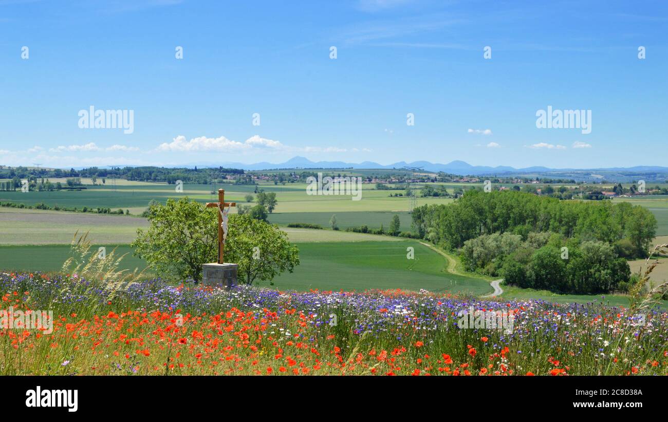 Flowery landscape hi-res stock photography and images - Alamy