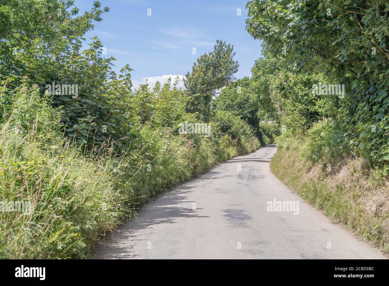 Country road no markings hi-res stock photography and images - Alamy