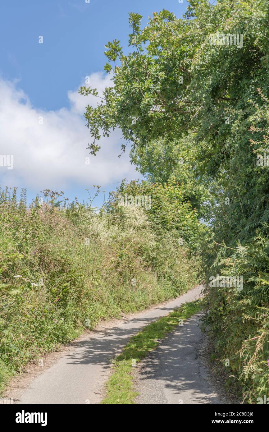 Road bending around a corner hi-res stock photography and images - Alamy