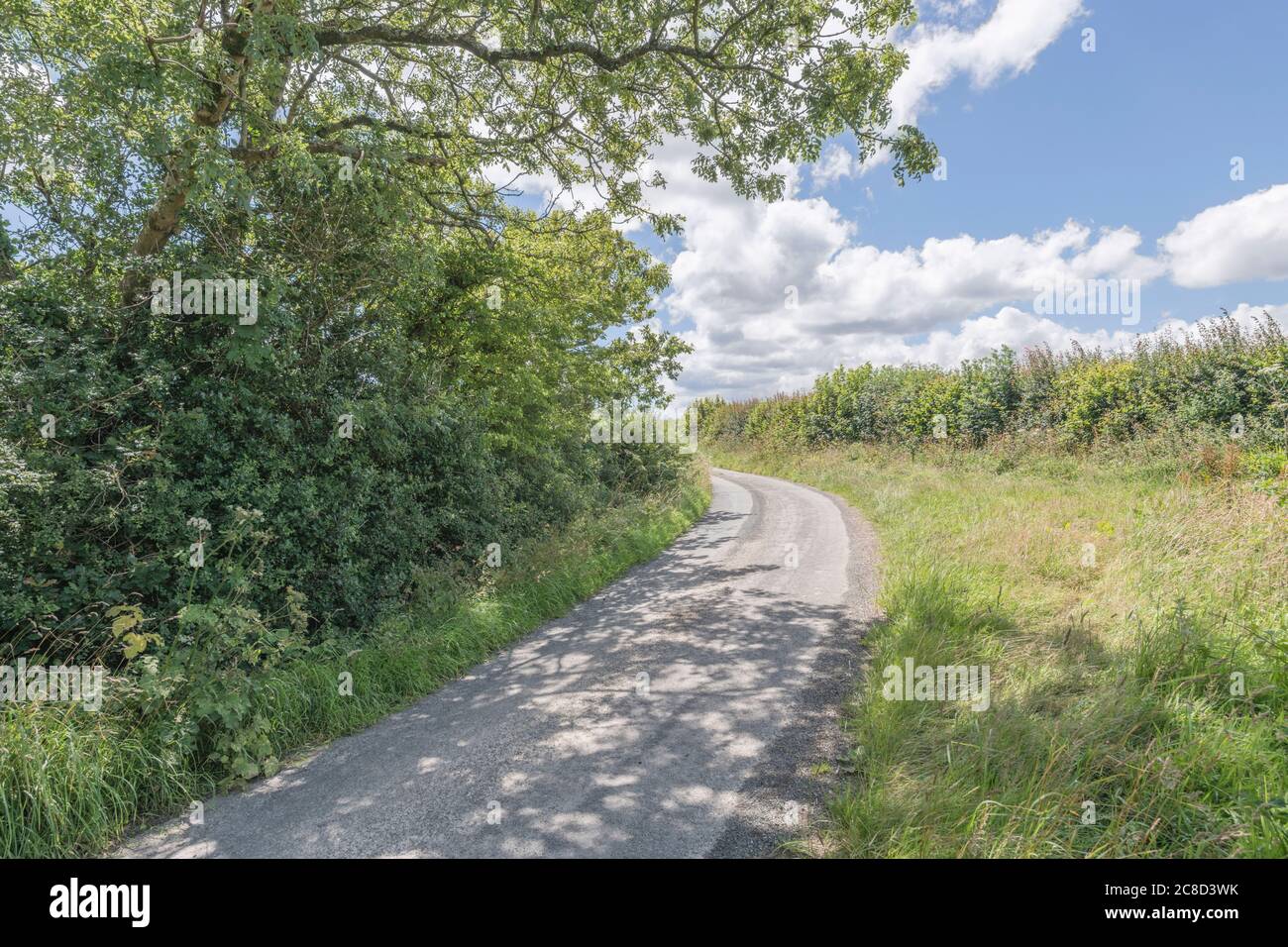 Rural country lane in Cornwall with typical banked hedgerows in summer ...