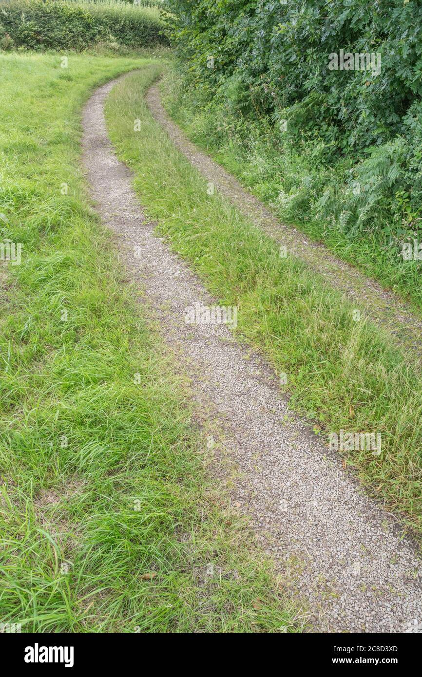 Rural country grassy track in Cornwall & typical banked hedgerow in ...