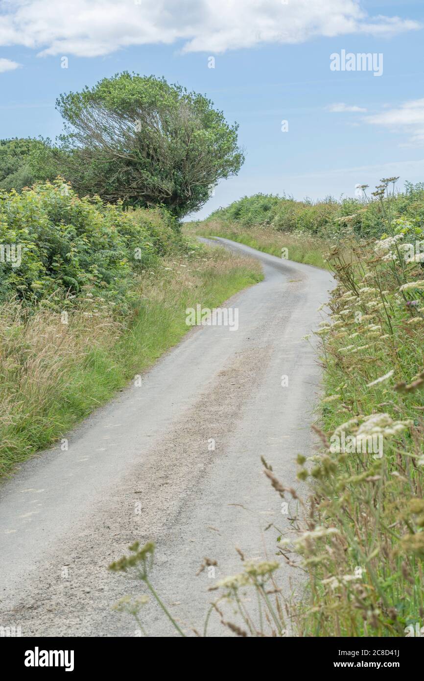 Back roads cornwall hi-res stock photography and images - Alamy