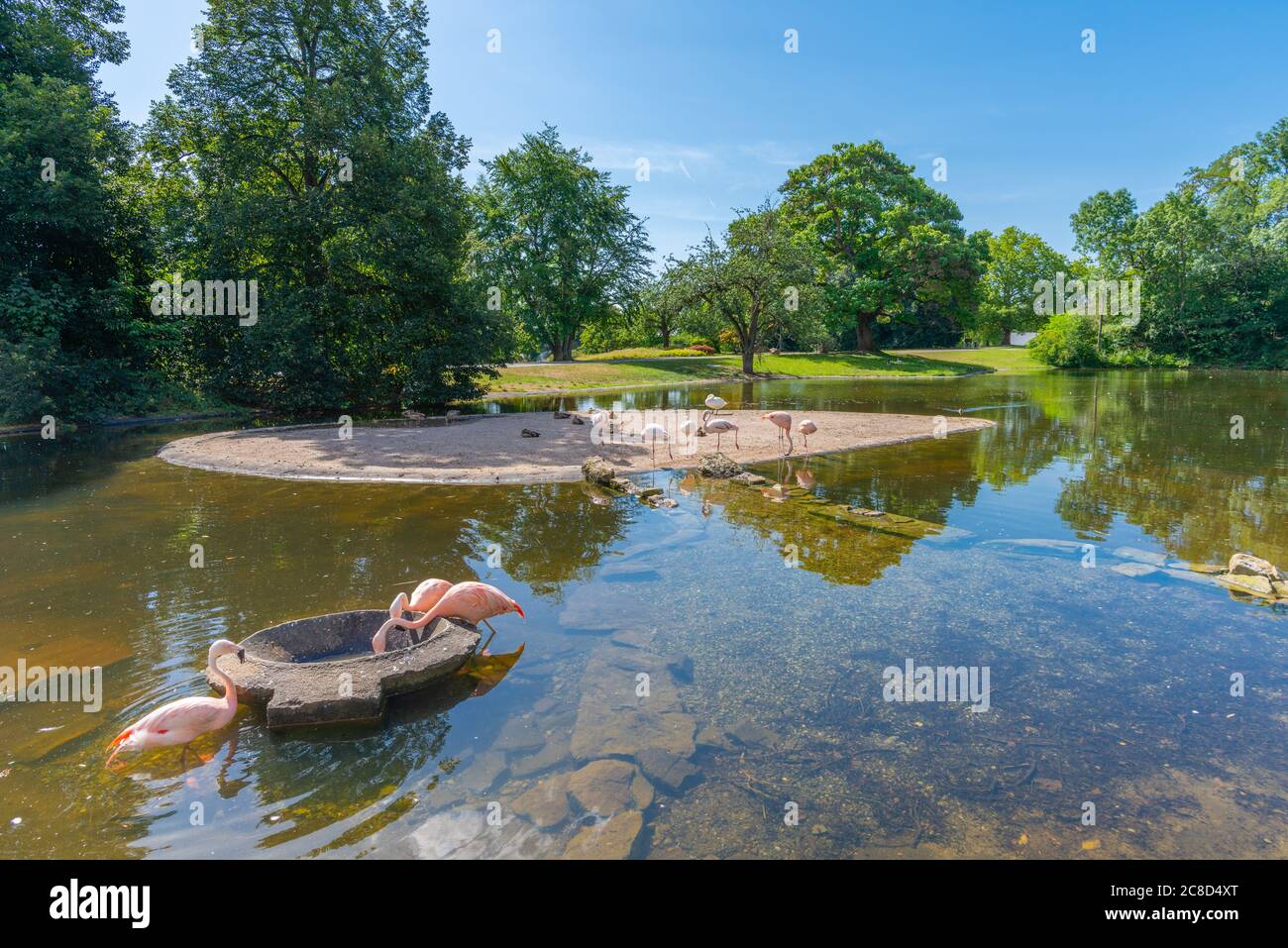 Baden wurttemberg and pool hi-res stock photography and images - Alamy