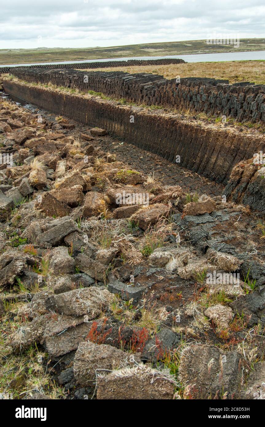 Peat moss is being cut and used for heating near Port Stanley, Falkland ...