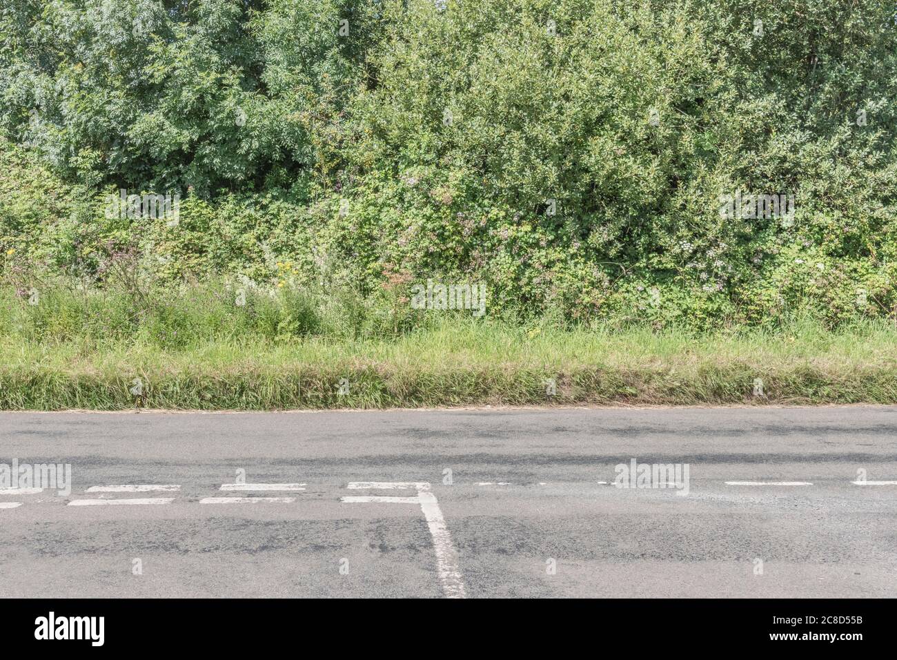 Road T-junction on a rural country road in Cornwall Stock Photo - Alamy
