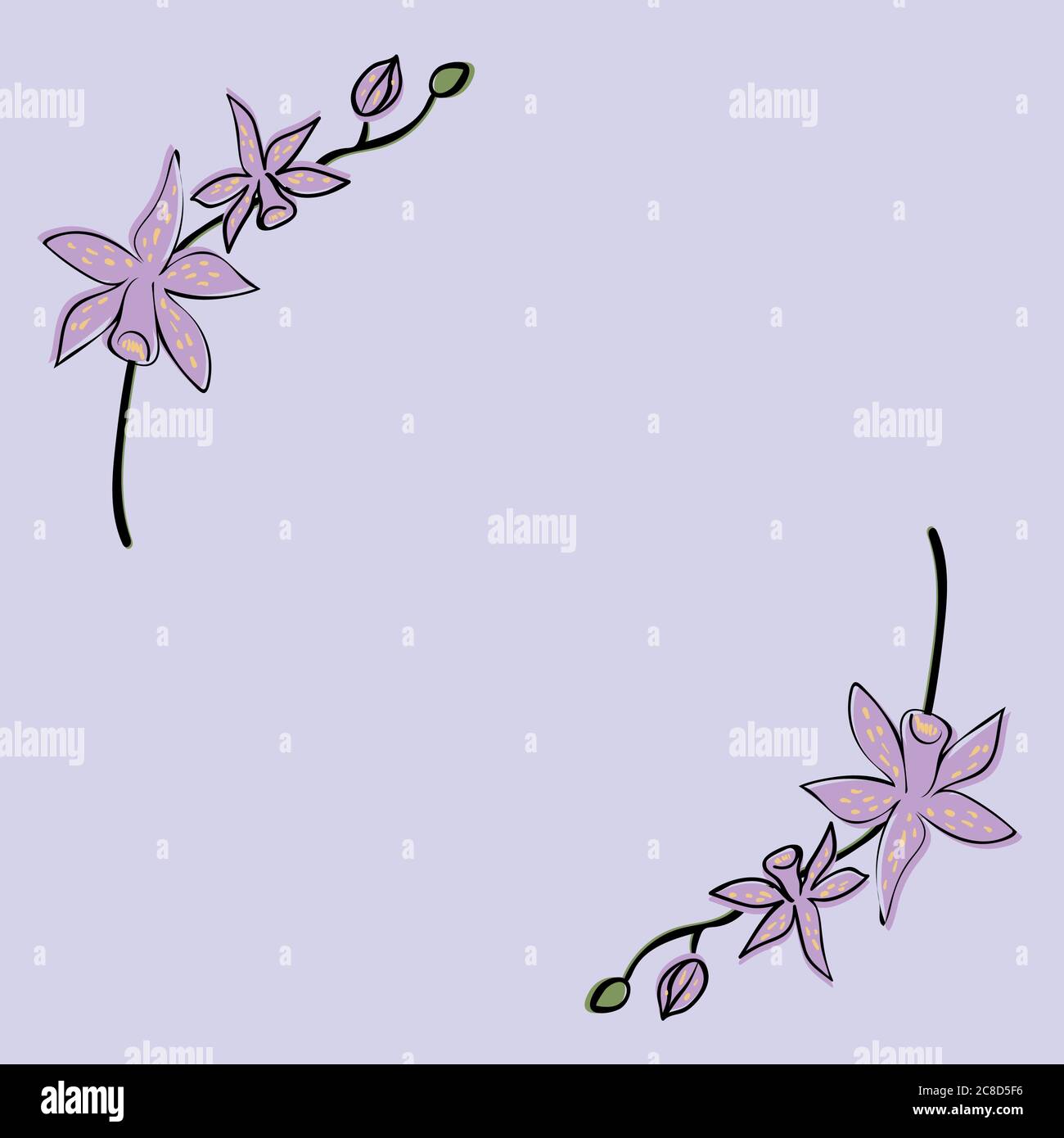 orchid flowers simple vector illustration Stock Vector Image & Art - Alamy