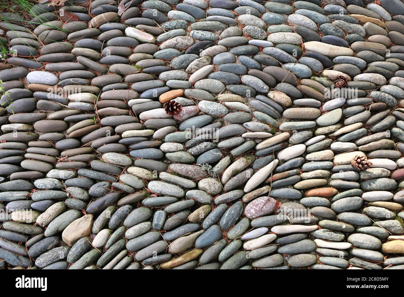 Walking path of sea pebbles in the Park with cones and needles. Element ...