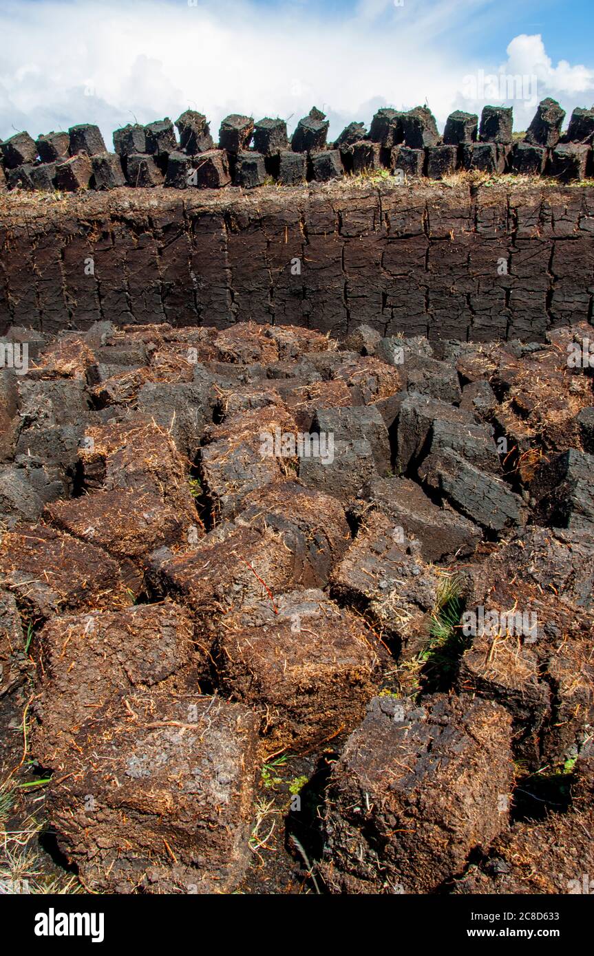 Peat moss is being cut and used for heating near Port Stanley, Falkland ...