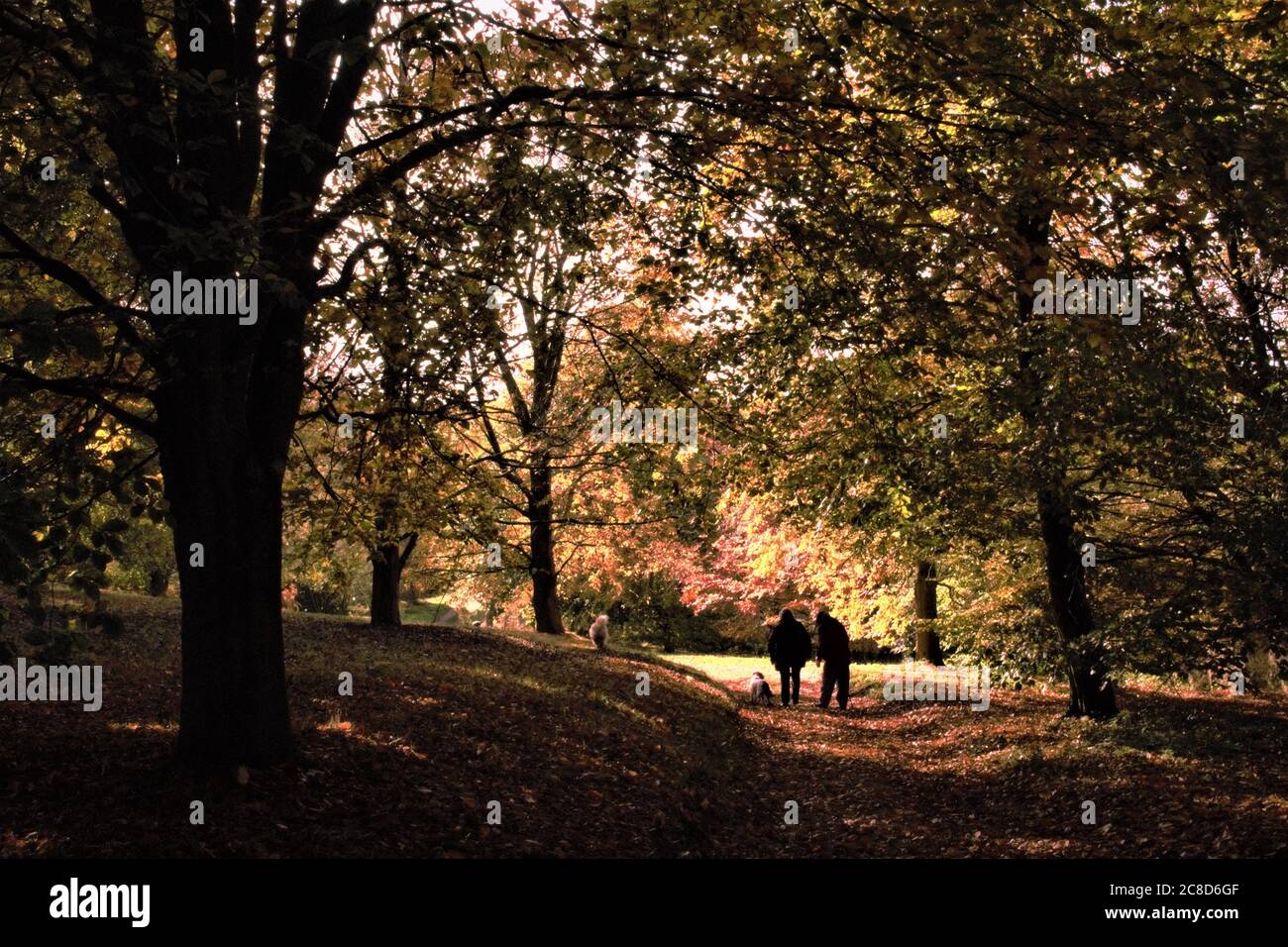 Yorkshire arboretum hi-res stock photography and images - Alamy