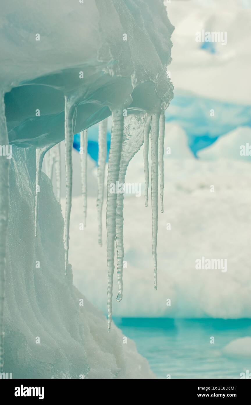 Icicles on an iceberg floating of Pleneau Island, Antarctic Peninsula ...