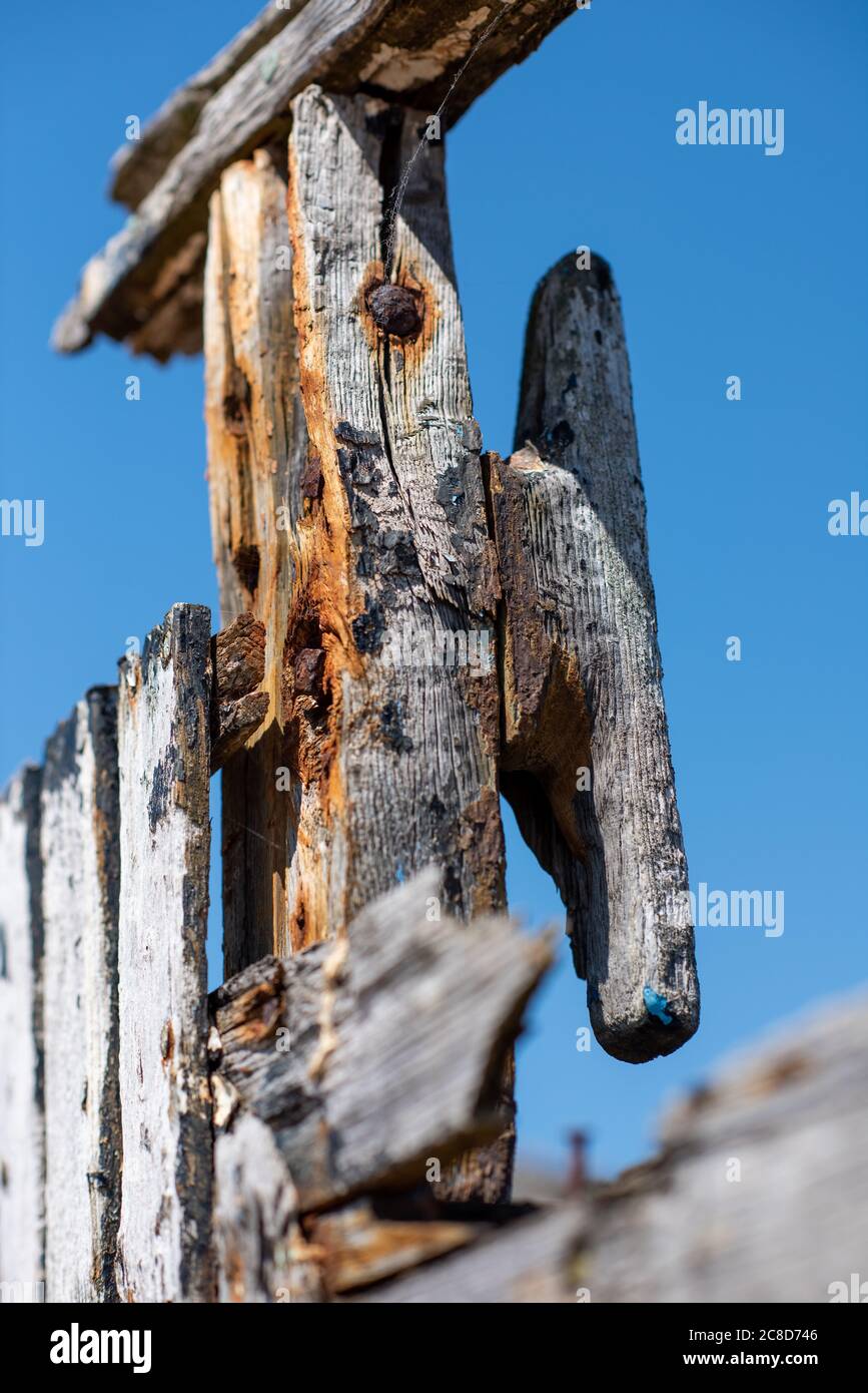 Derelict abandoned wooden fishing boat, gnarly wood & flaking paint on ...