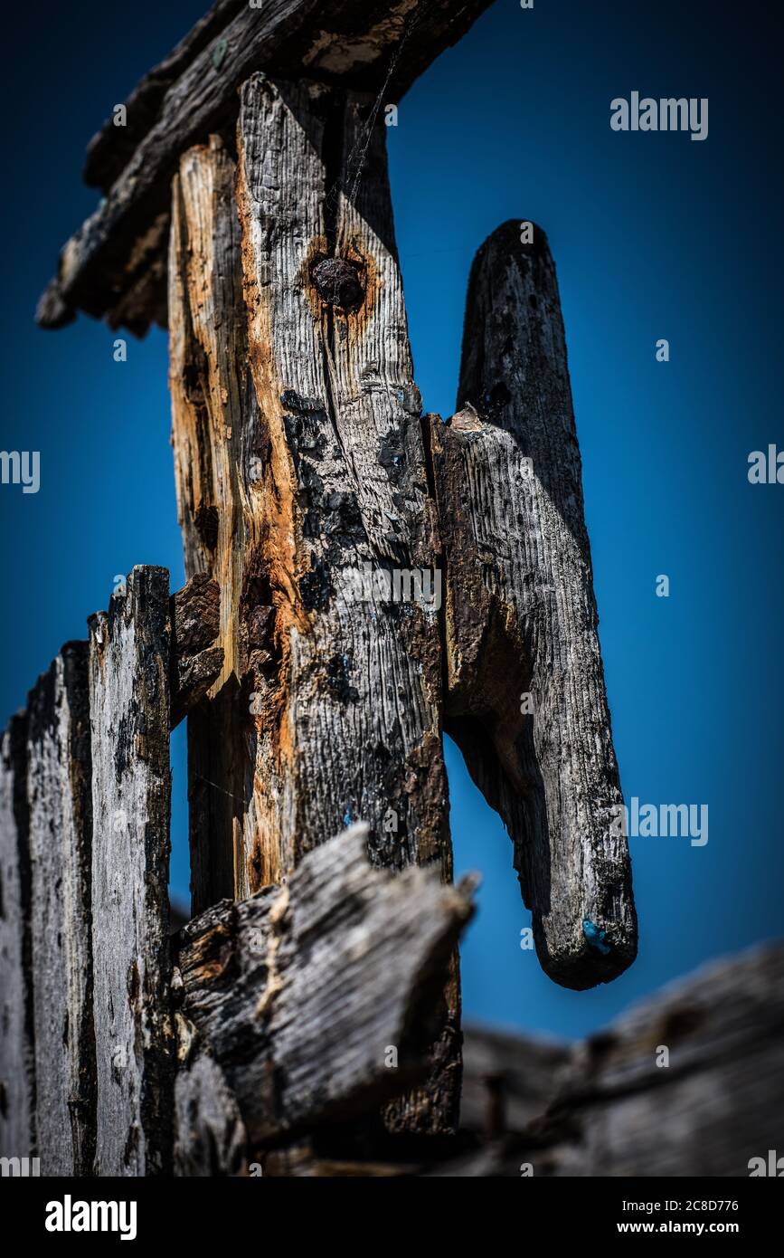 Derelict abandoned wooden fishing boat, gnarly wood & flaking paint on ...