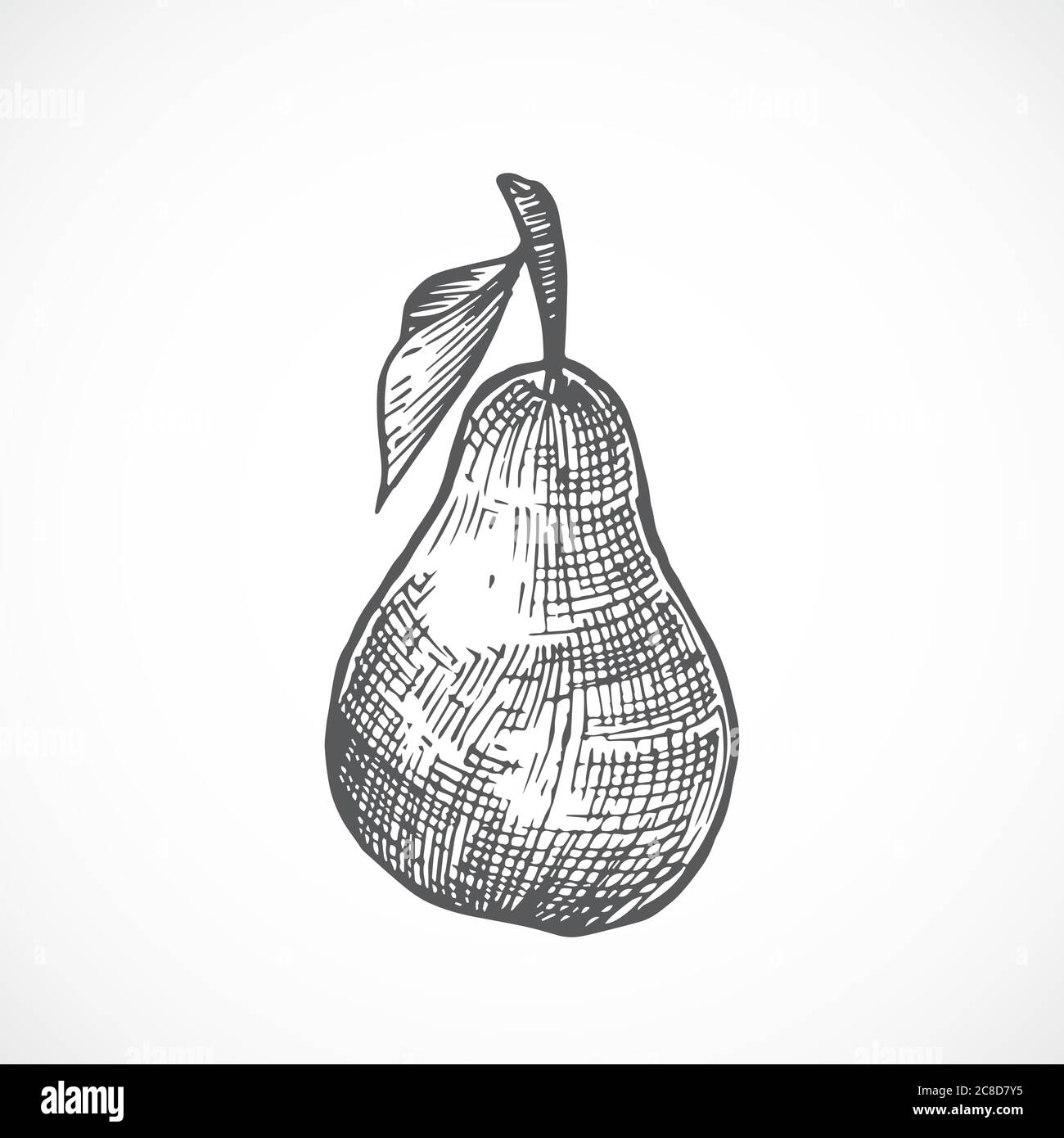 Pear with Leaf Hand Drawn Vector Illustration. Abstract Fruit Sketch ...