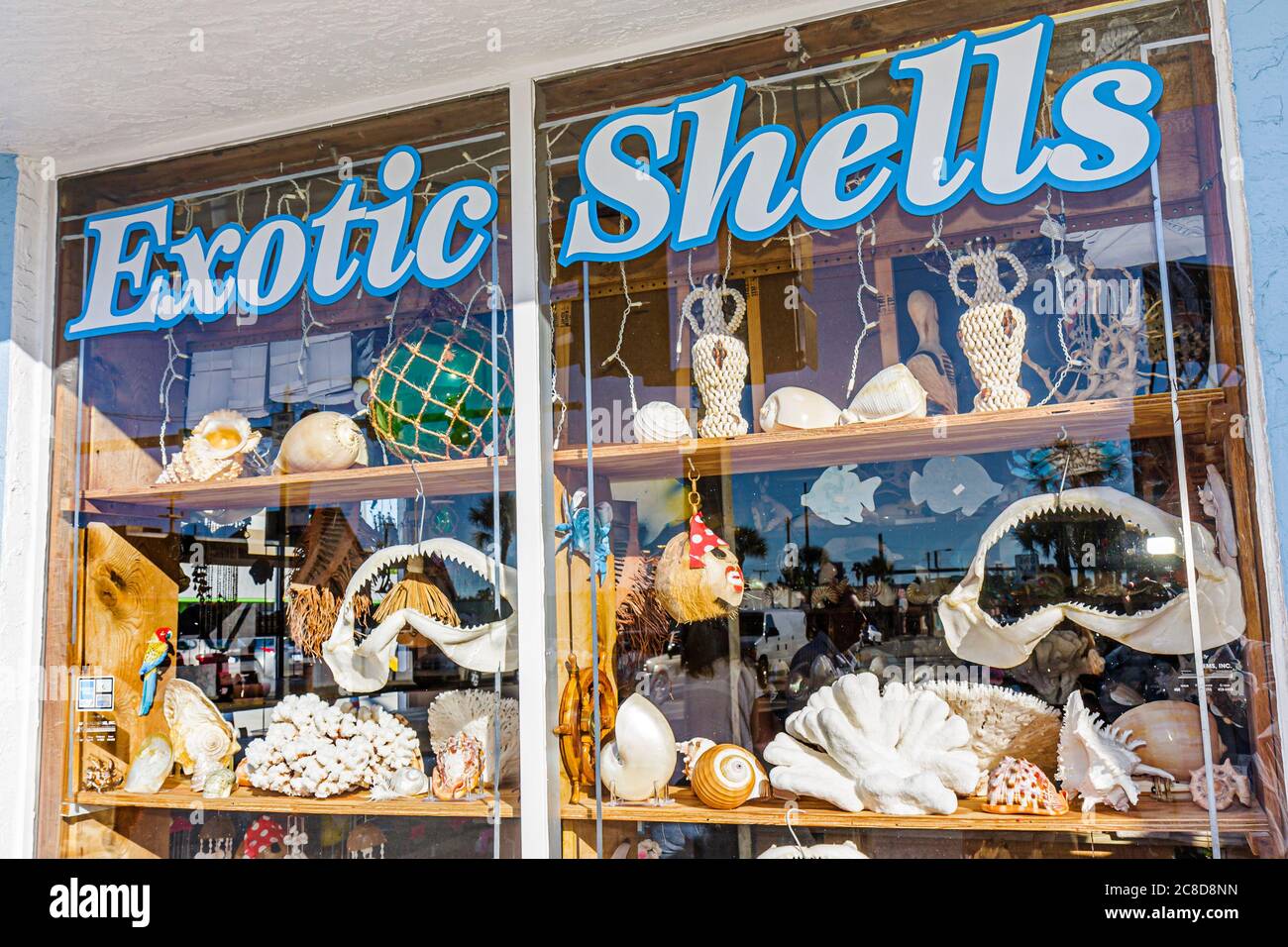 Souvenir Shells High Resolution Stock Photography and Images - Alamy