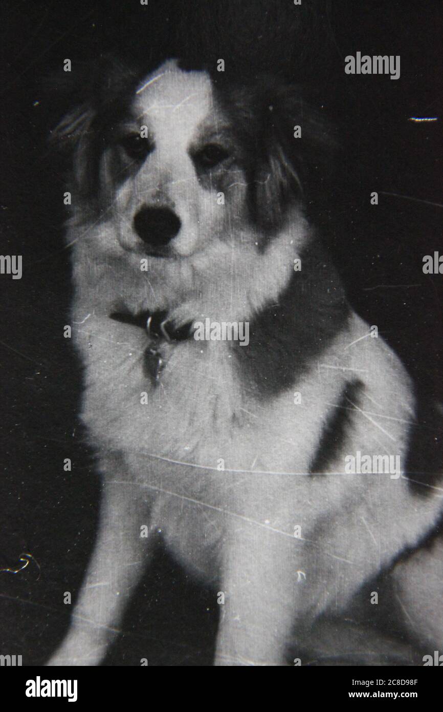 Fine 70s vintage black and white lifestyle photography of a happy ...