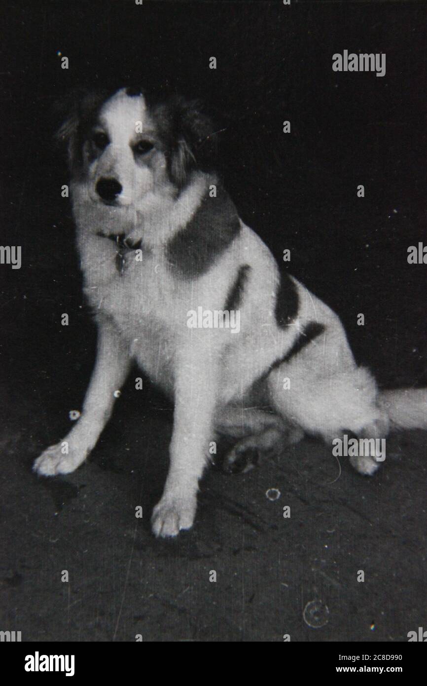 Fine 70s vintage black and white lifestyle photography of a happy ...