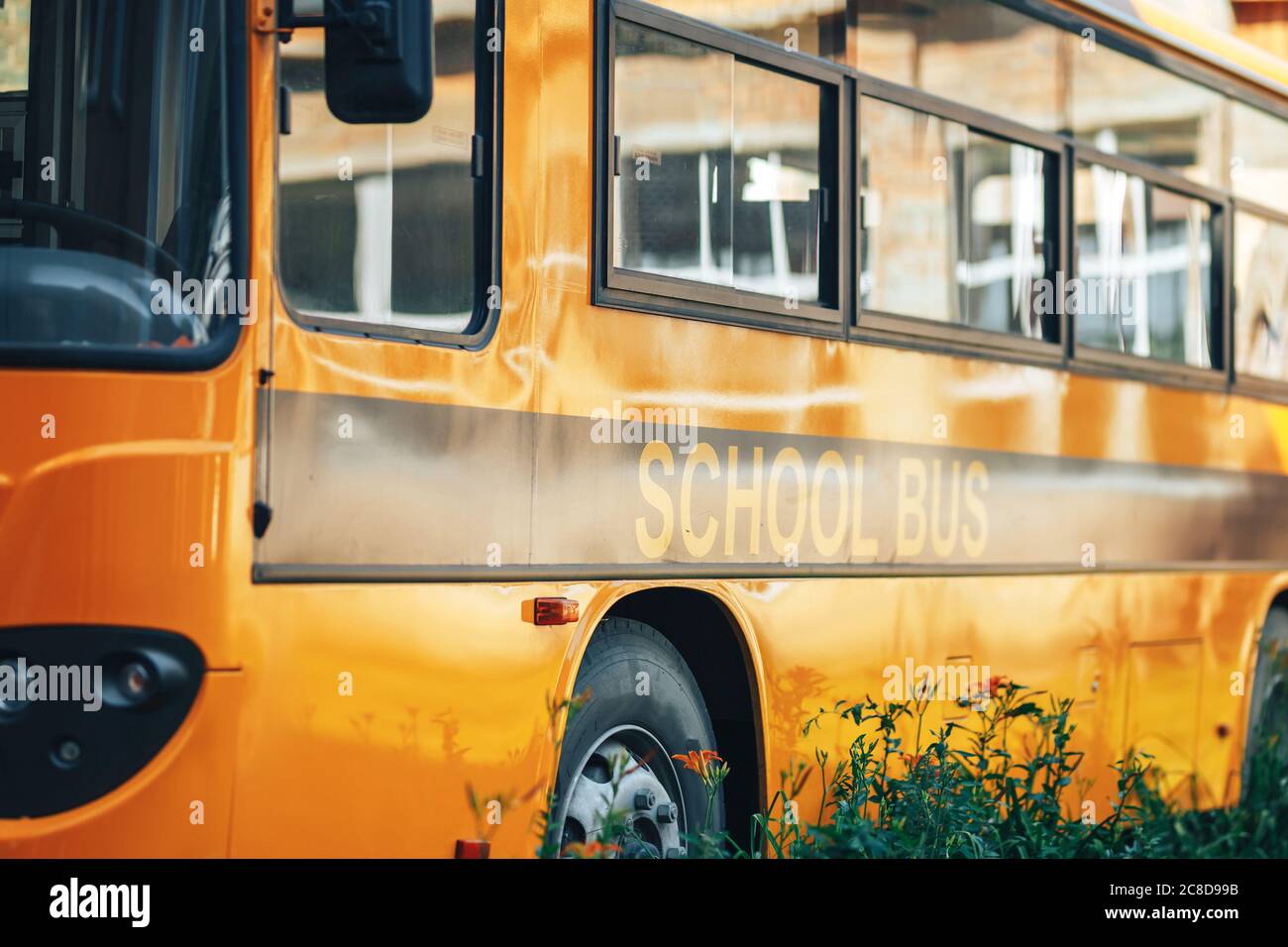 Big yellow school bus, back to school, delivery of children to school ...
