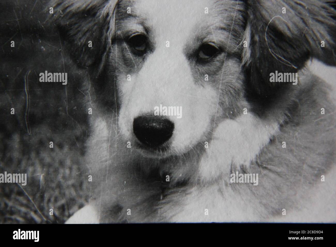 Fine 70s vintage black and white lifestyle photography of a happy ...