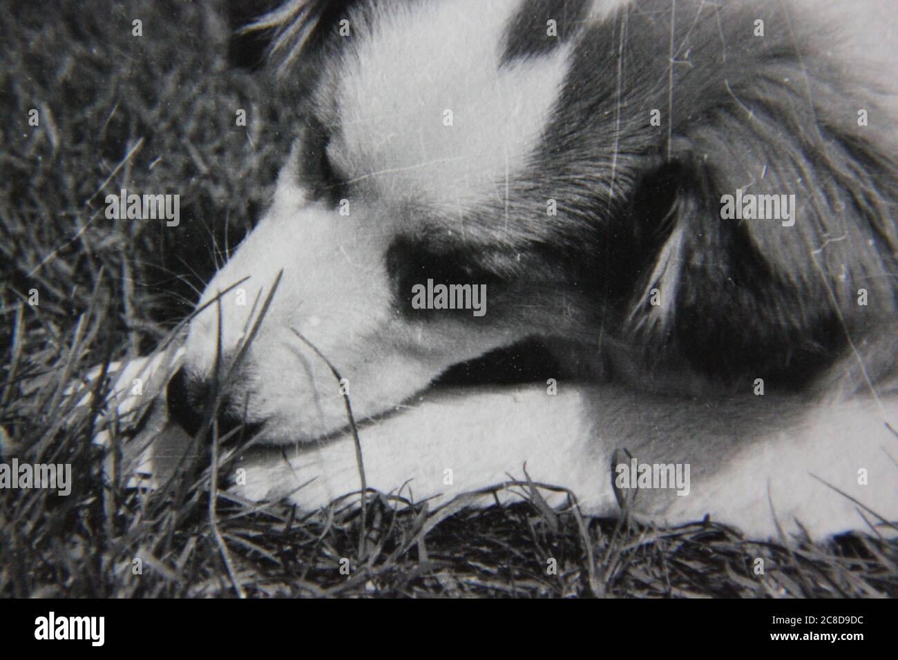 Fine 70s vintage black and white lifestyle photography of a happy ...