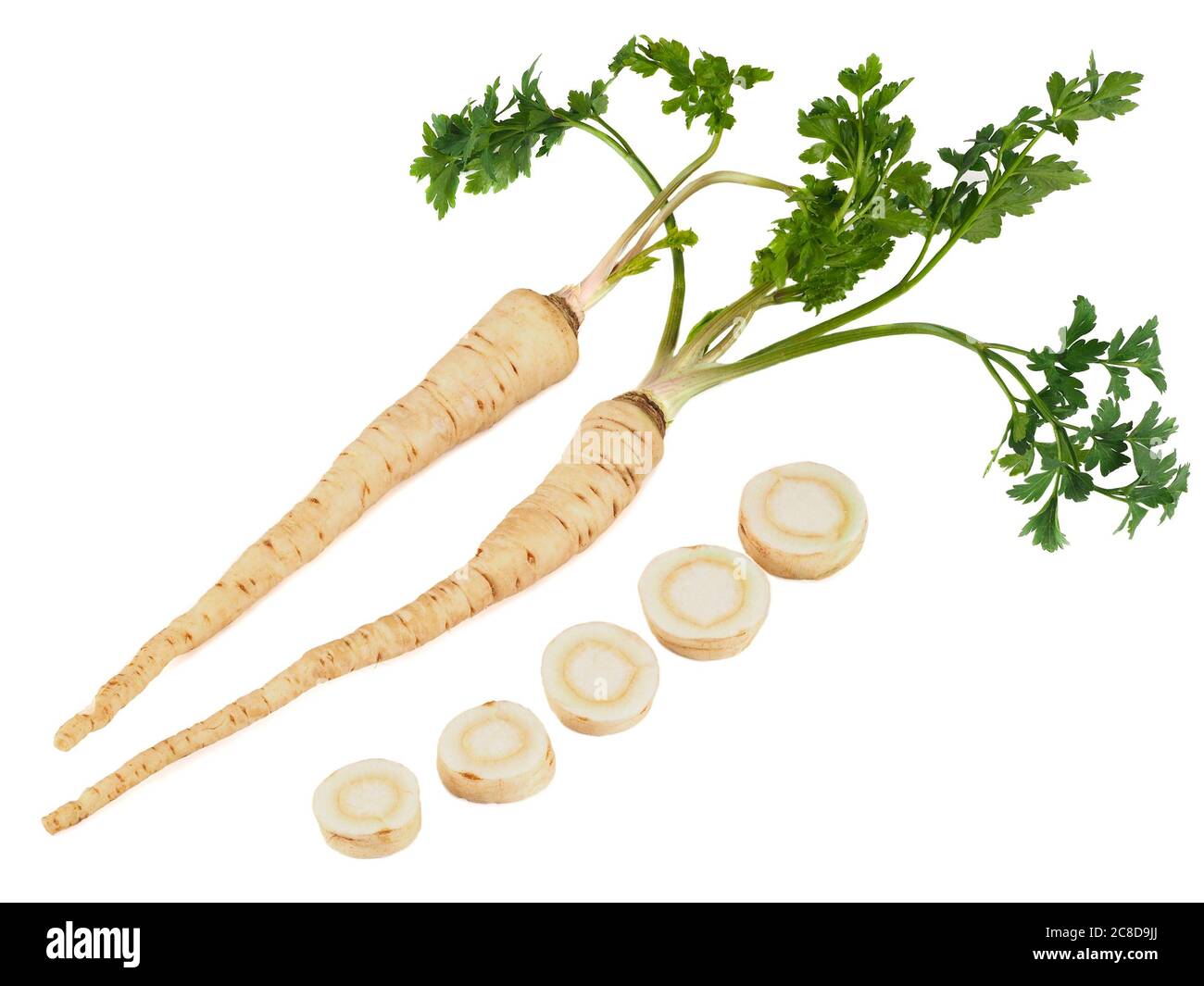 raw parsley root isolated on white Stock Photo - Alamy
