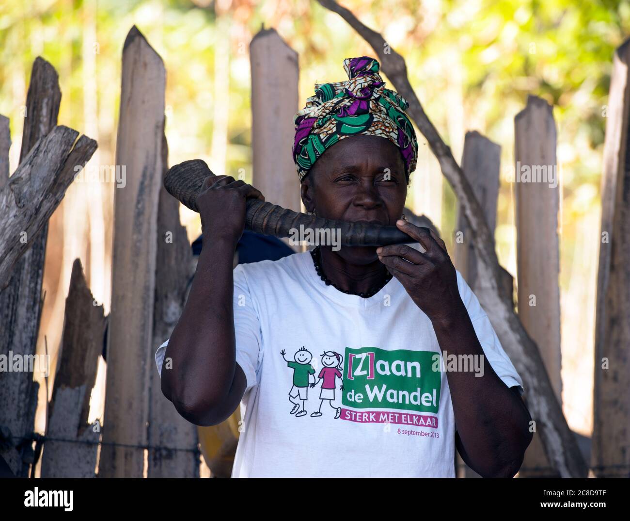 An indigenous Jola tribe women plays a traditional musical instrument ...