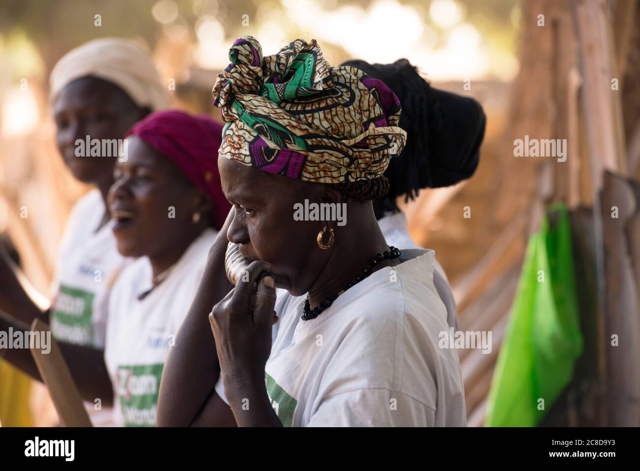 An indigenous Jola tribe women plays a traditional musical instrument ...