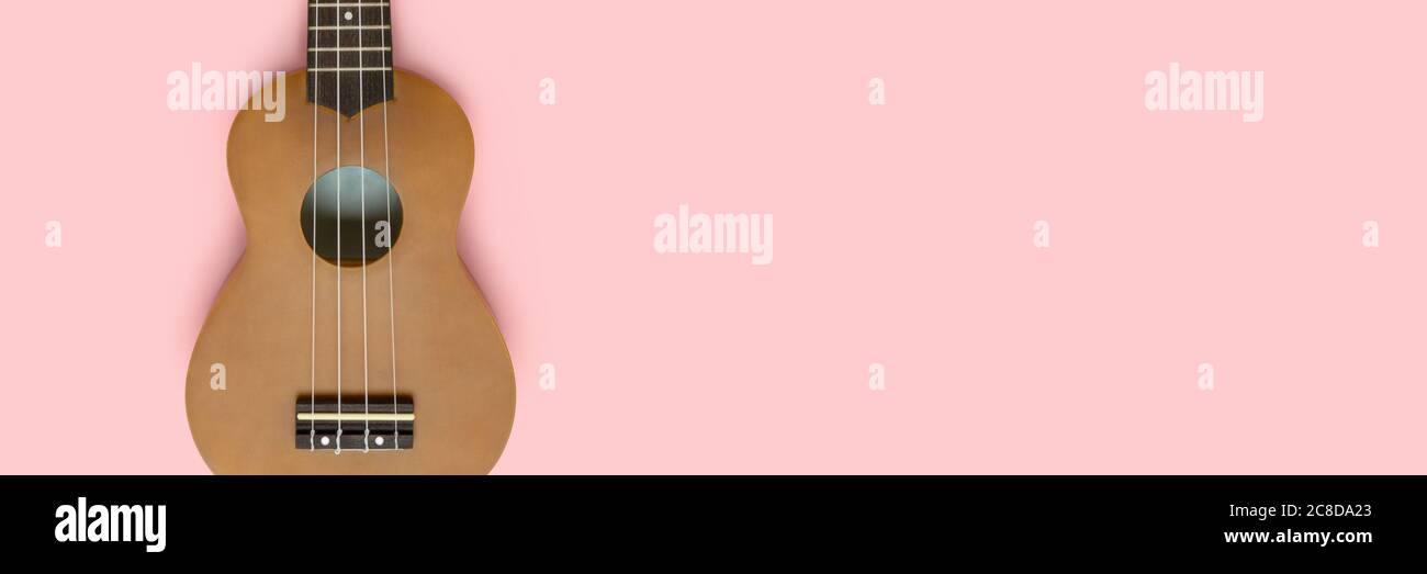 Banner with ukulele on a pastel pink backgrount. Musical equipment ...