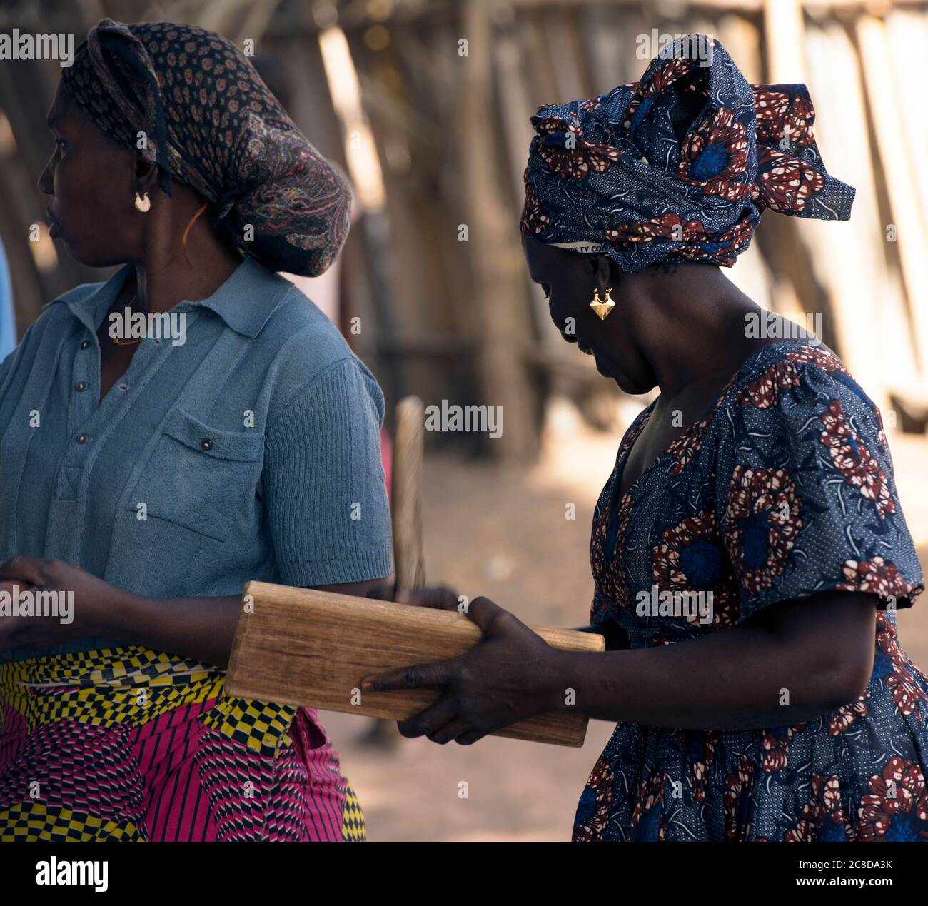 Indigenous Jola tribe women play traditional musical instruments during ...
