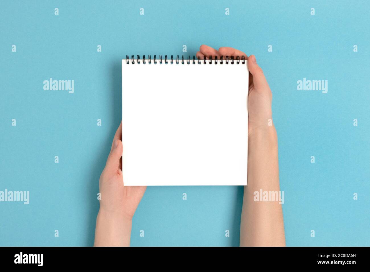 Female hands hold clean notepad. Blank copybook mockup on a blue pastel ...