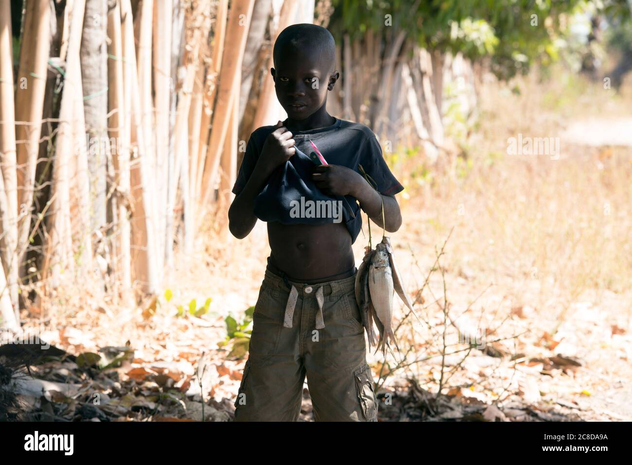 Indigenous jola people hi-res stock photography and images - Alamy