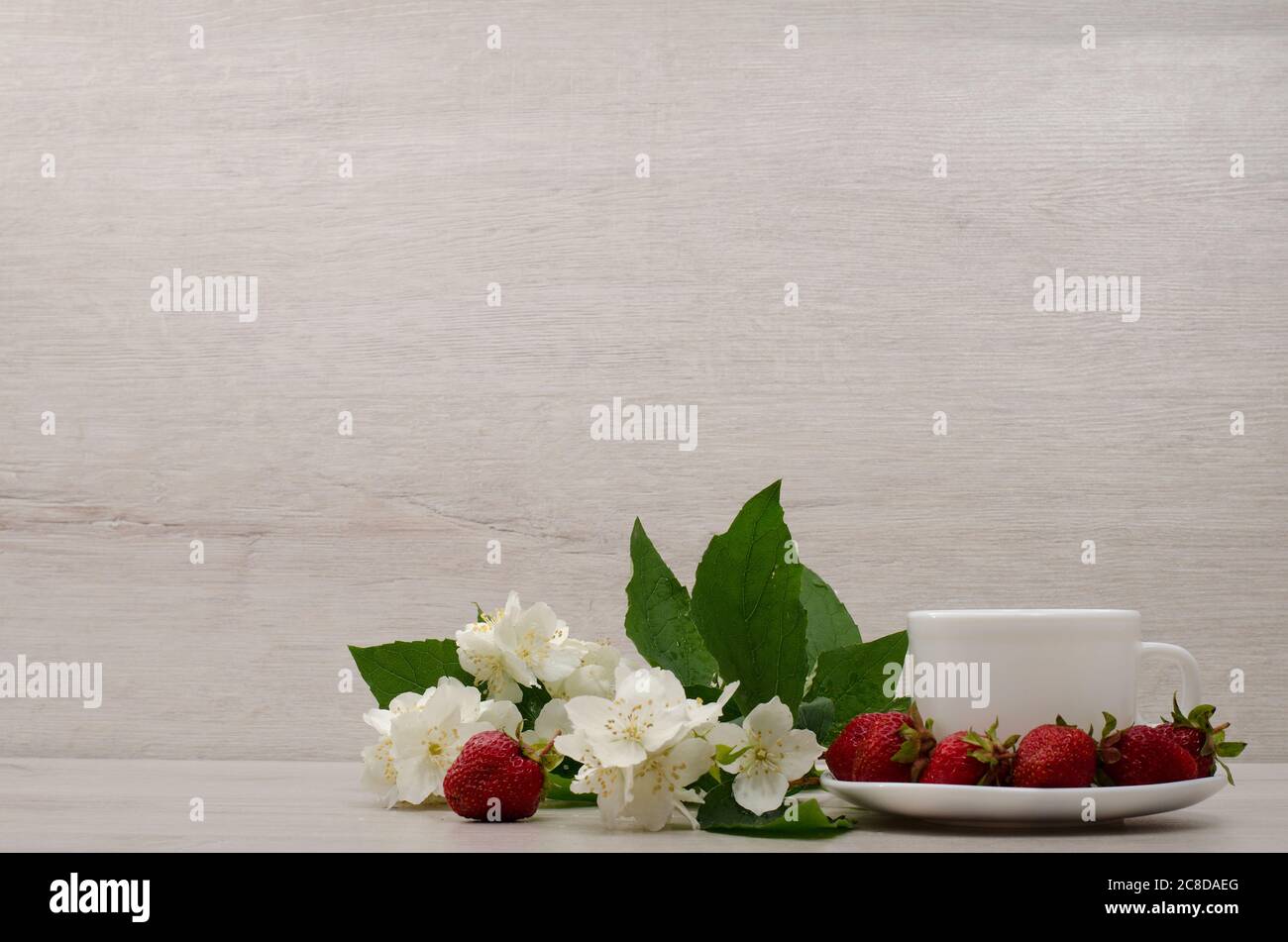 Jasmine plant berries hi-res stock photography and images - Alamy