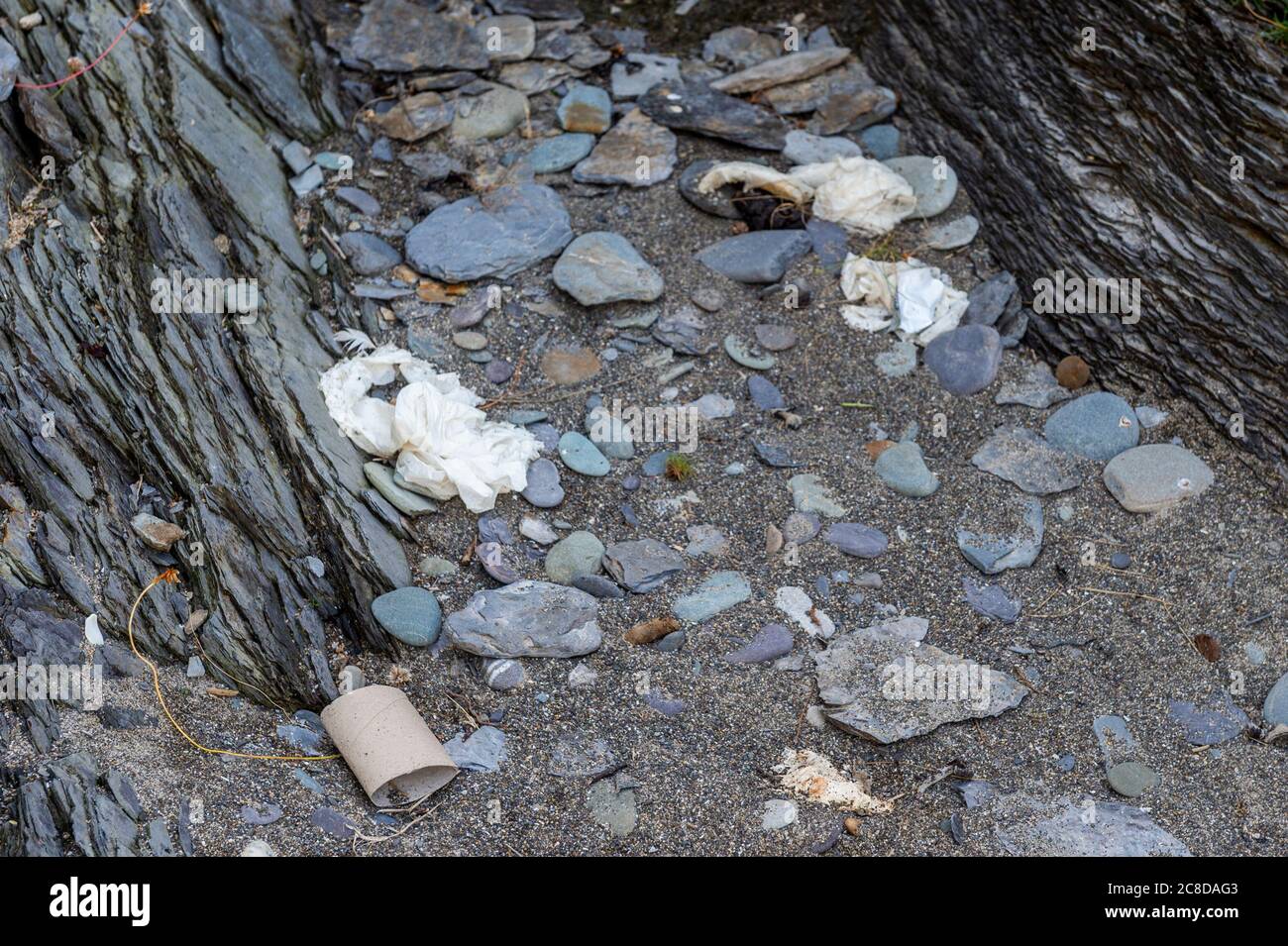 Human faeces toilet paper hi-res stock photography and images - Alamy