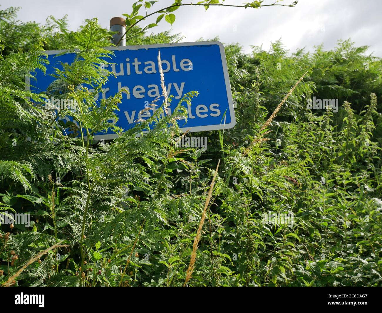 Unsuitable for Heavy vehicles sign overgrown by hedgrow vegetation ...