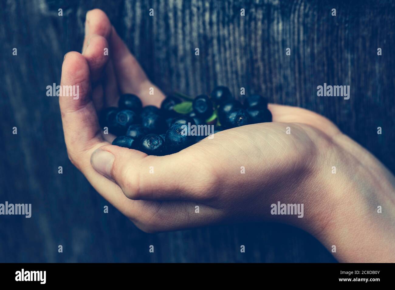Blue finger macro close hi-res stock photography and images - Alamy