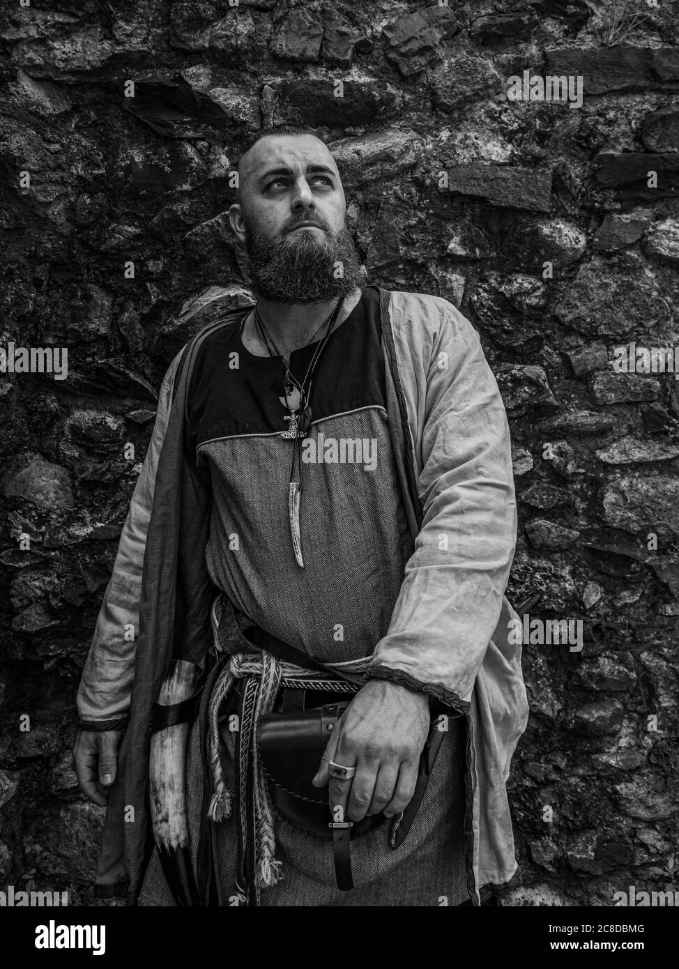Viking warrior portrait with thick beard in front of a stone wall ...