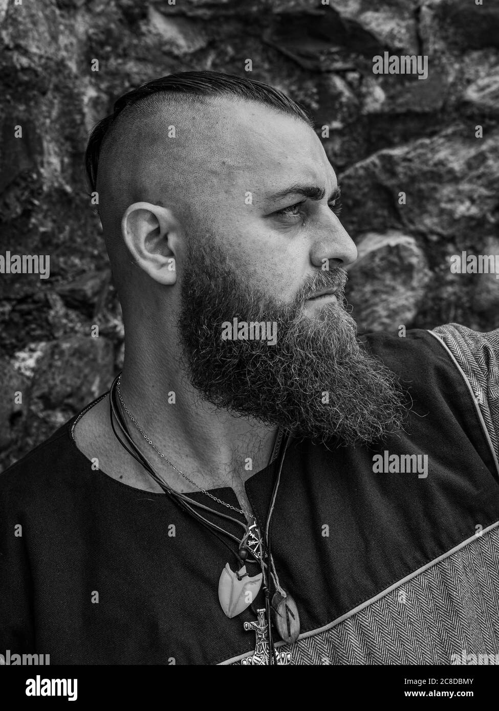 Viking warrior portrait with thick beard in front of a stone wall ...