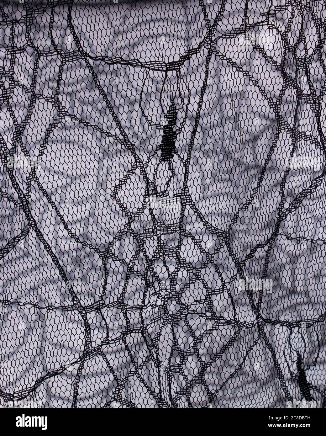 Layers of Spider web Netting Halloween creepy background Stock Photo ...